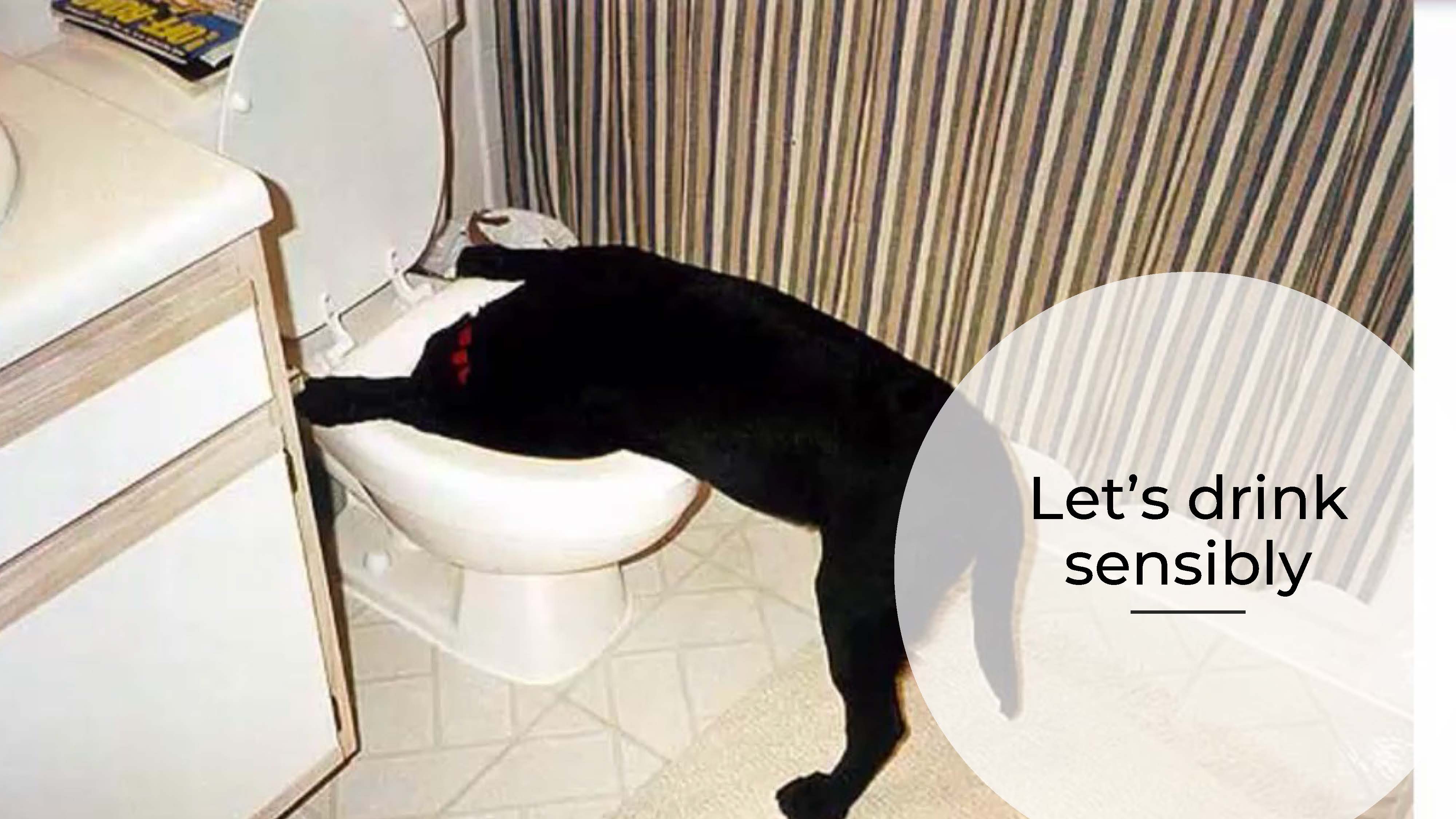 Dr Elena Mucci - Alcohol misuse: A Hidden Cause of Frailty in Older Adults